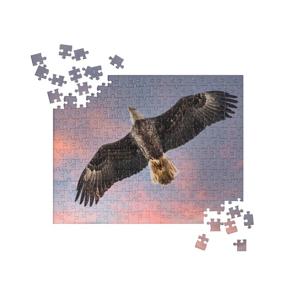 Jigsaw Puzzle of a Bald Eagle From Below 252 Piece Selection - Etsy