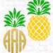 Pineapple Monogram SVG Pineapple Svg Summer Svg Tropical SVG Vacation ...