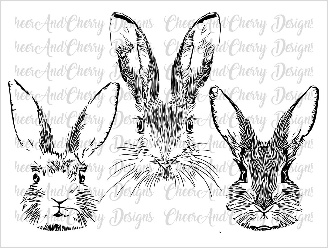 Bunny Svg Bundle, Rabbit Png Drawing Hand-drawn Designs, Rustic Bunny ...