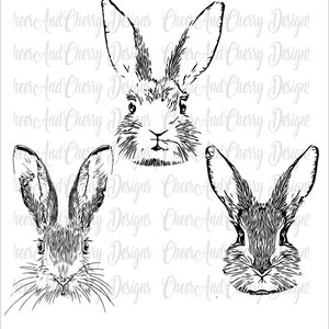 Bunny Svg Bundle, Rabbit Png Drawing Hand-drawn Designs, Rustic Bunny ...