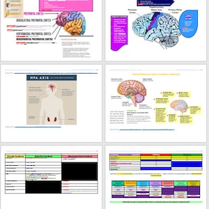 EPPP Visual Aid and Mnemonic Supplemental Packet (to Supplement Your ...