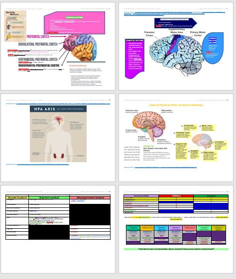 EPPP Visual Aid and Mnemonic Supplemental Packet (to Supplement Your ...