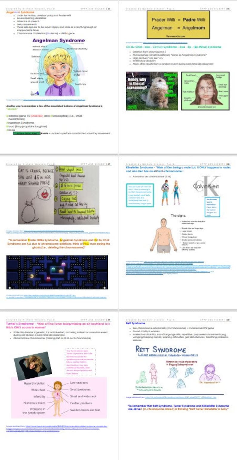 EPPP Visual Aid and Mnemonic Supplemental Packet (to Supplement Your ...