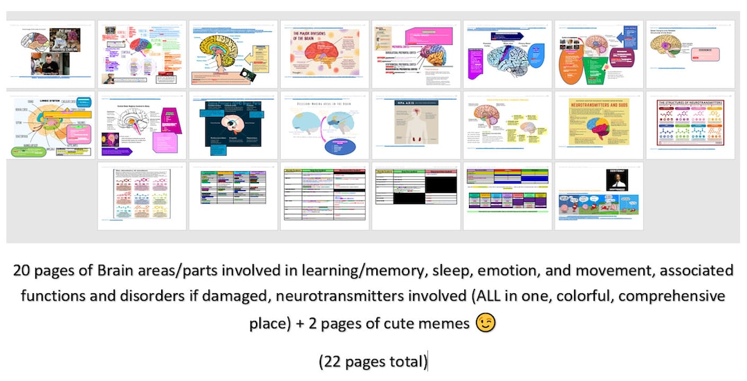EPPP Visual Aid and Mnemonic Supplemental Packet to - Etsy