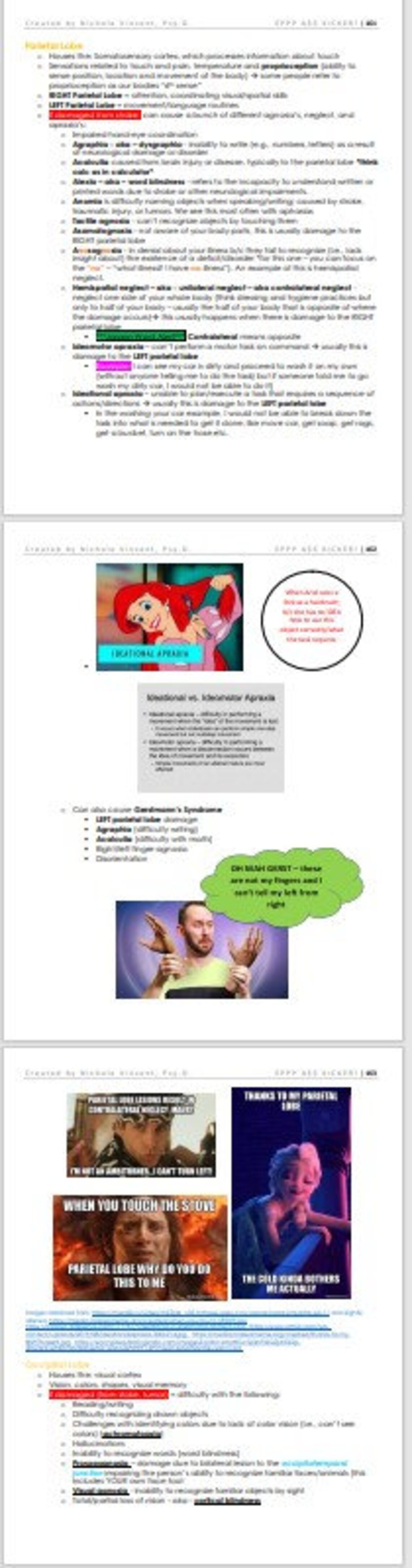 EPPP Visual Aid and Mnemonic Supplemental Packet to Supplement Your ...