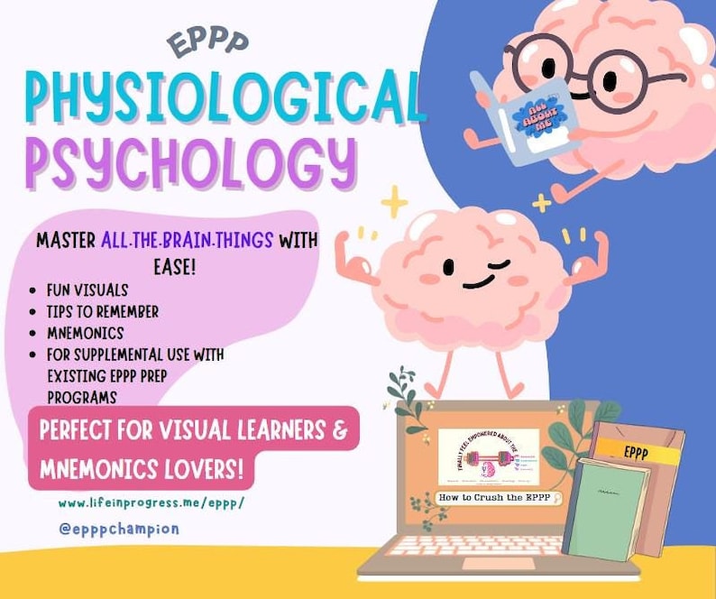 EPPP Domain B Physiological Psychology Study Guide | Physio Neuro ...
