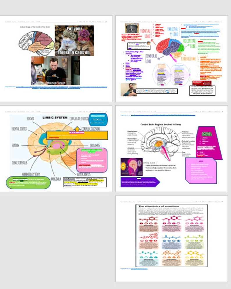 EPPP Visual Aid and Mnemonic Supplemental Packet (to Supplement Your ...