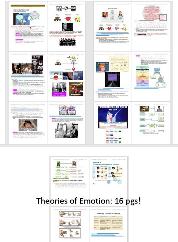 EPPP Visual Aid and Mnemonic Supplemental Packet to - Etsy