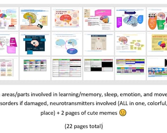 Eppp Brain Chart - Etsy