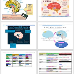EPPP Visual Aid and Mnemonic Supplemental Packet (to Supplement Your ...