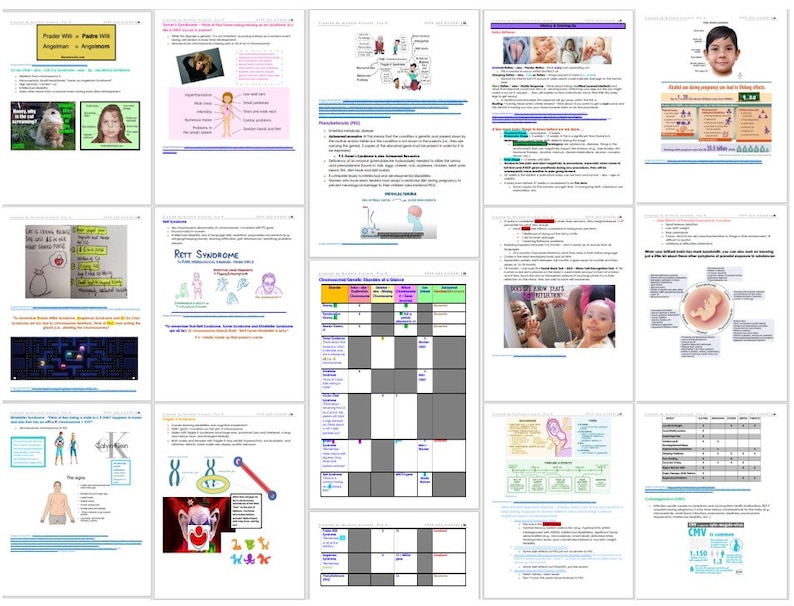 EPPP Visual Aid and Mnemonic Packet (to Supplement Your Studying ...