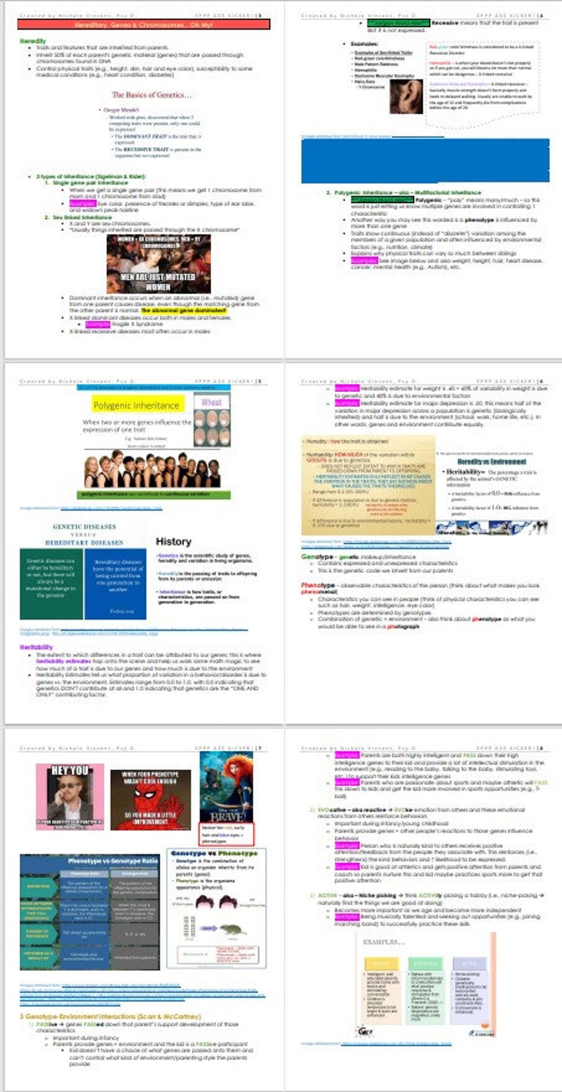 EPPP Visual Aid and Mnemonic Supplemental Packet (to Supplement Your ...