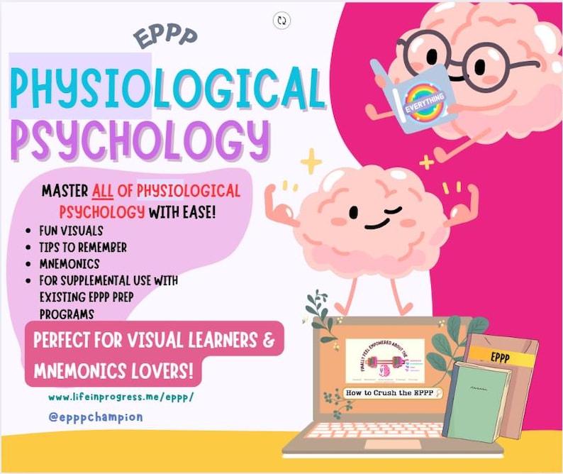 EPPP Neuro Study Guide Bundle | Physiology, Neurotransmitters ...