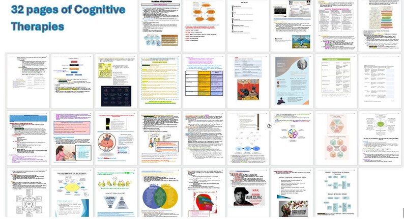 EPPP Study Guide: Cognitive Theories – Visual Mnemonics & Study Hacks ...