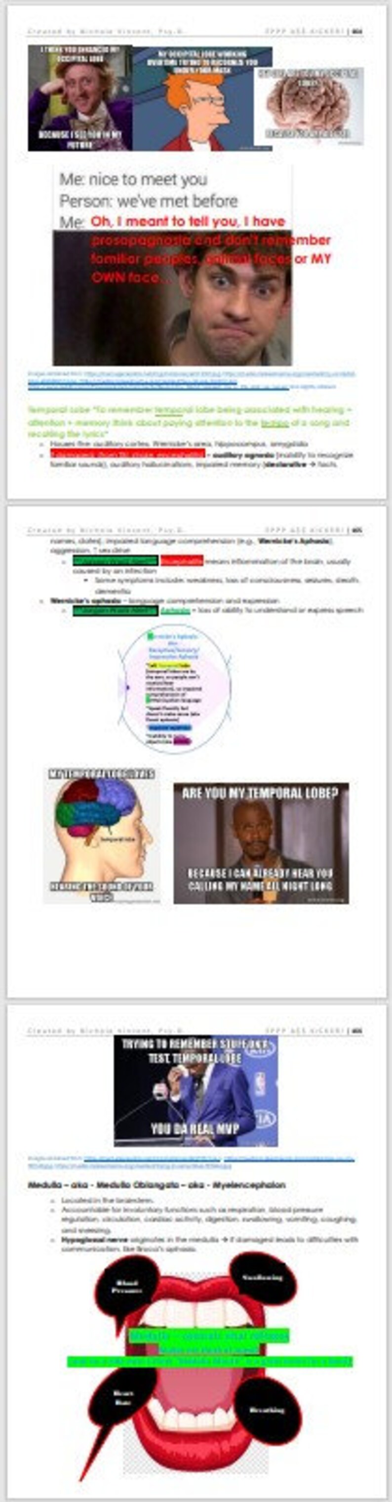 EPPP Domain B Physiological Psychology Study Guide | Physio Neuro ...