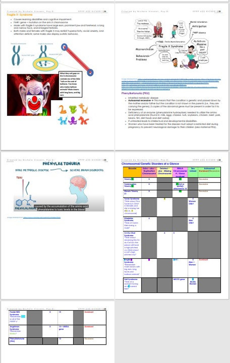 EPPP Visual Aid and Mnemonic Supplemental Packet (to Supplement Your ...