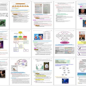 EPPP Visual Aid and Mnemonic Packet (to Supplement Your Studying ...