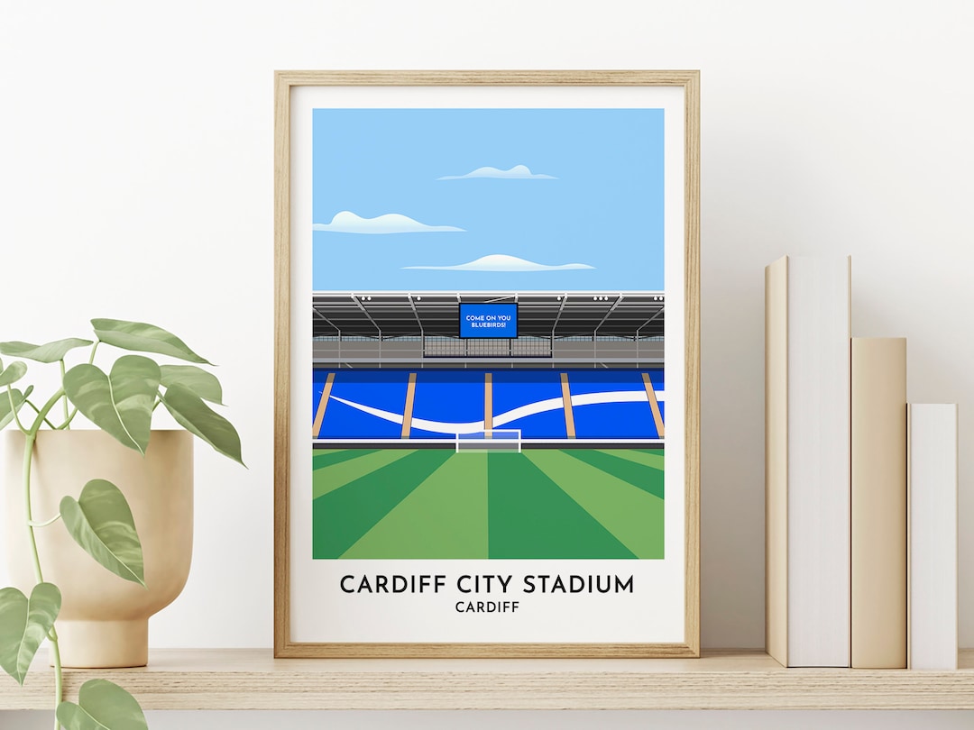 Cardiff City Football Gift - Cardiff City Stadium Illustrated Print ...