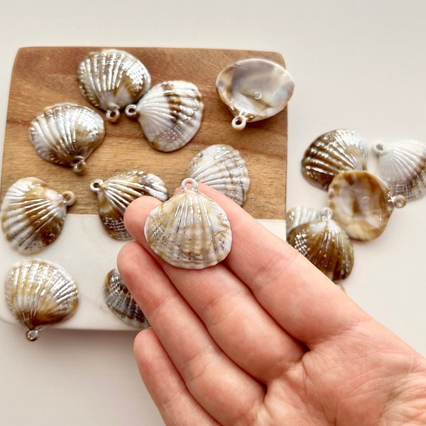 Shell Charms - Etsy