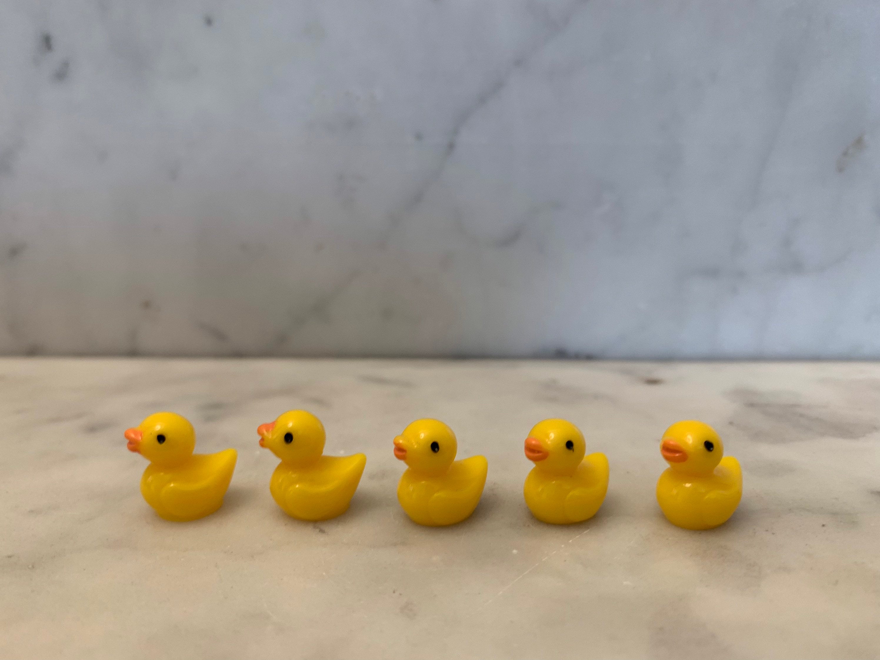 5 Miniature Plastic Rubber Ducks .5 X .5 - Etsy