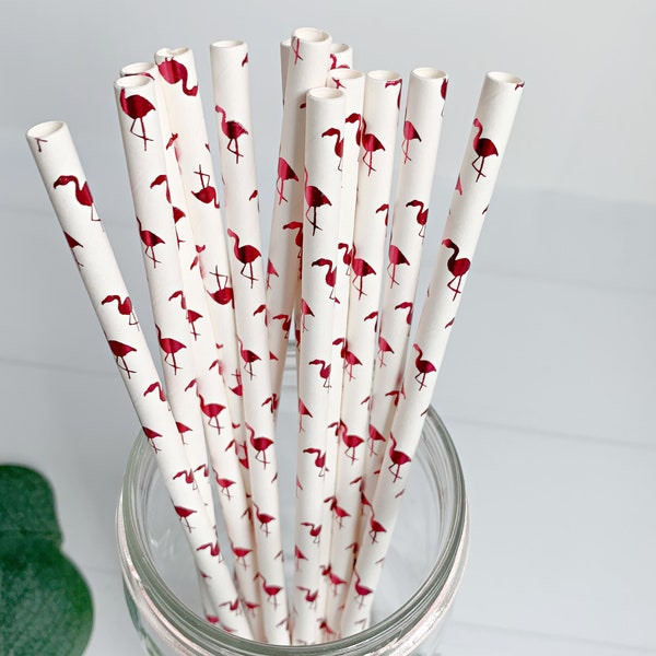 Flamingo Straws - Etsy