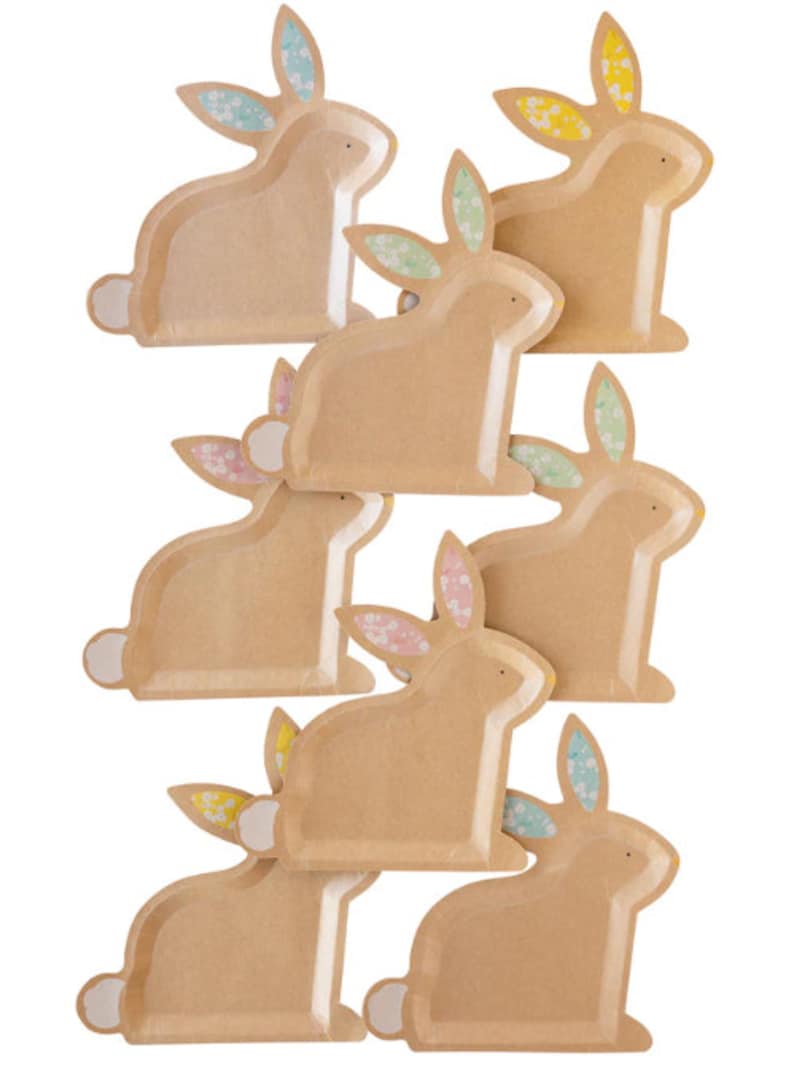 Some Bunny is One Shaped Paper Plates Kraft Easter Plates With Floral ...