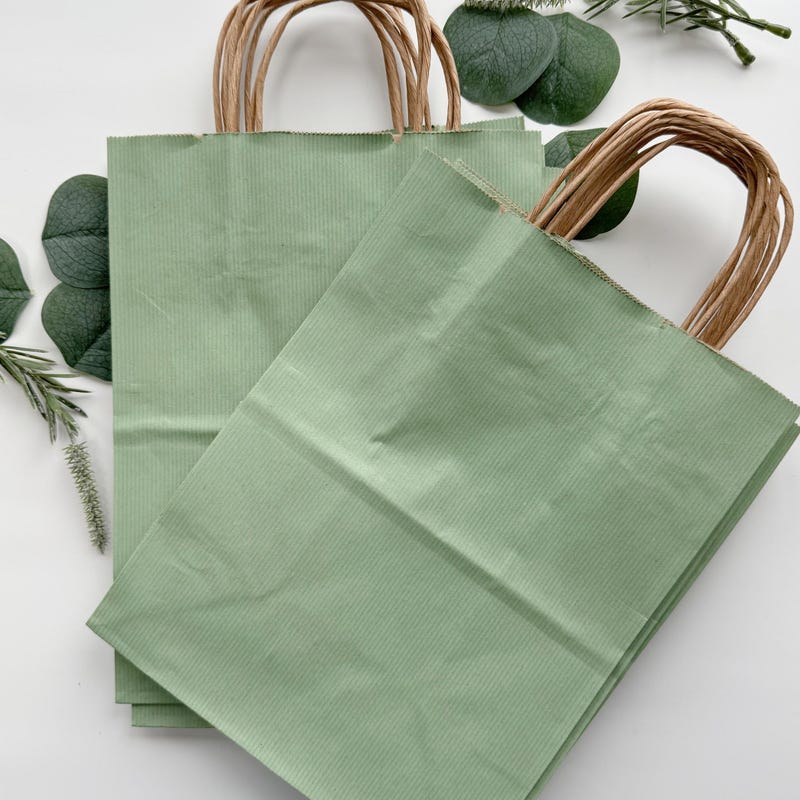 Sage Green Paper Bag Gift - 60+ Gift Ideas for 2025