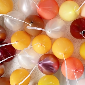 Balloon Tails - Set of 5 - Etsy