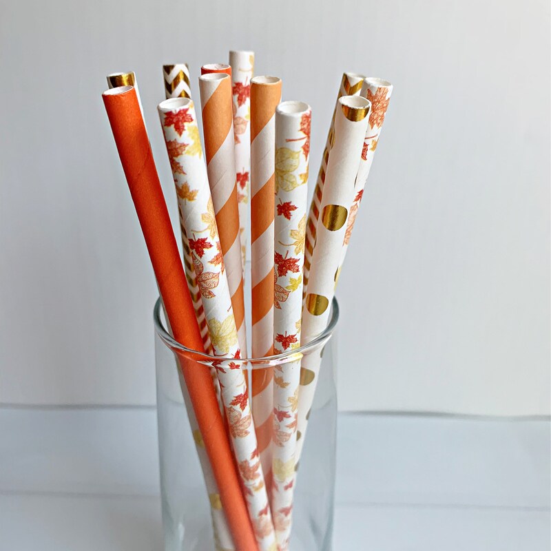 Orange Paper Straws - Etsy