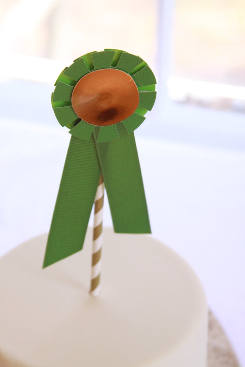 Kentucky Derby Party Horse Show Ribbon Cake Topper | Etsy