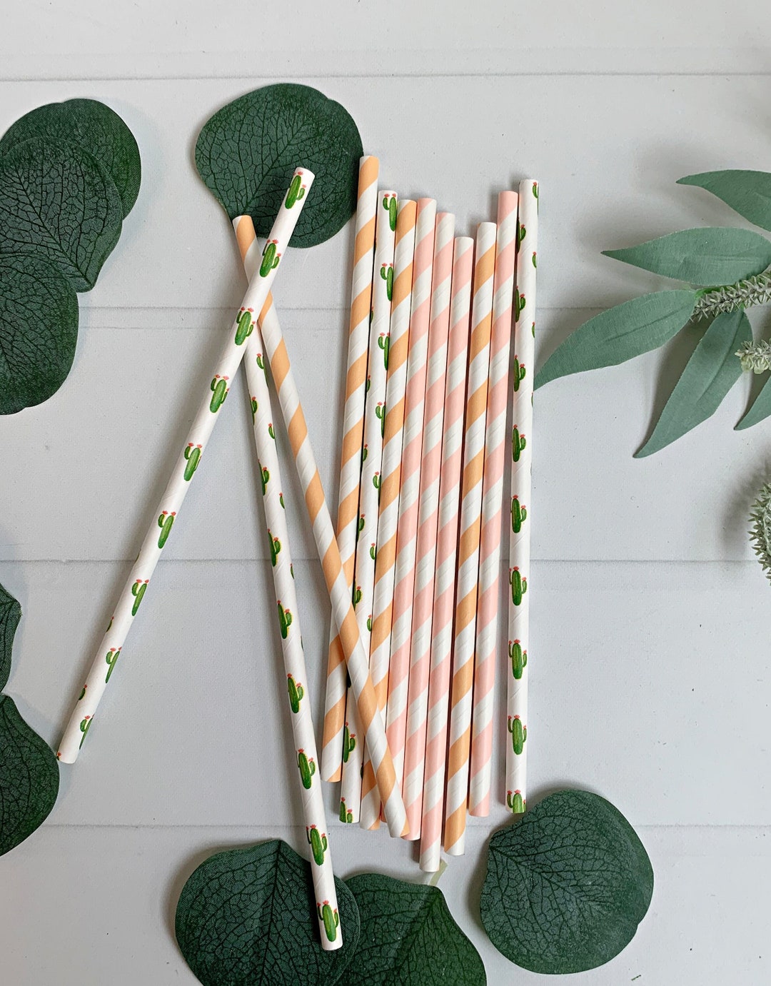 Cactus Straws - Etsy
