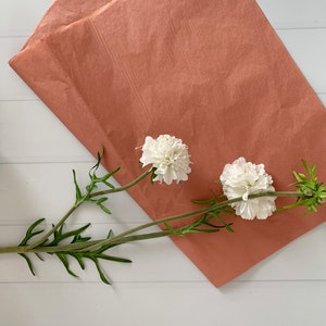 Terracotta Tissue Paper - Etsy