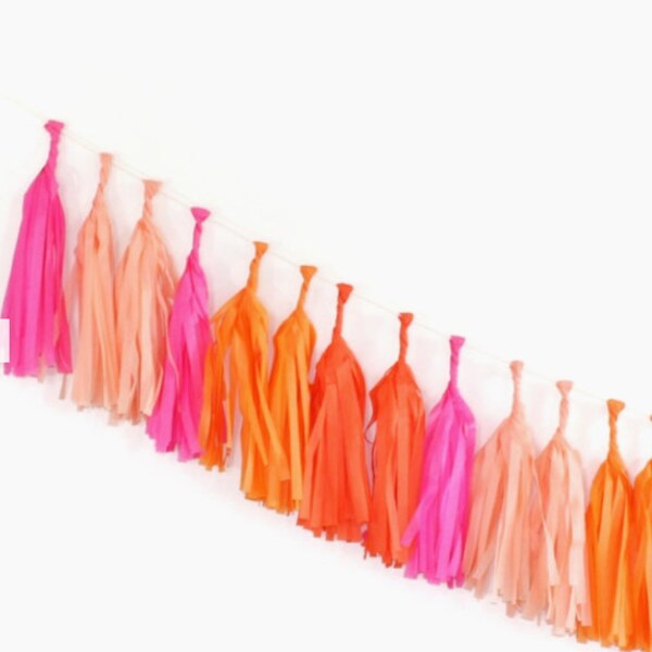 Fiesta Balloon Garland - Etsy