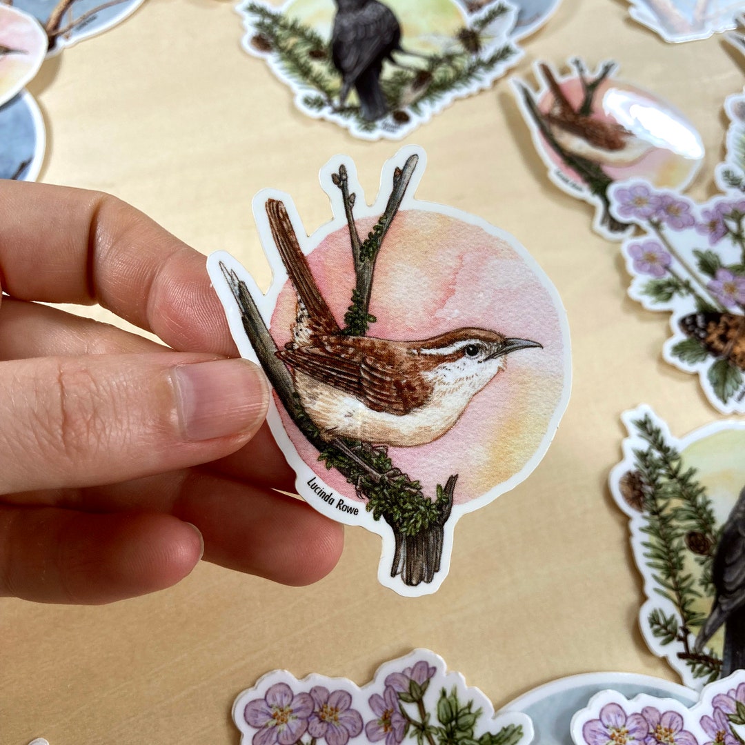 Vinyl Sticker Carolina Wren Watercolor - Etsy