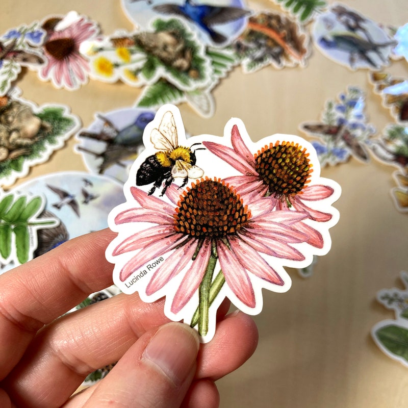 Purple Cone Flower - Etsy