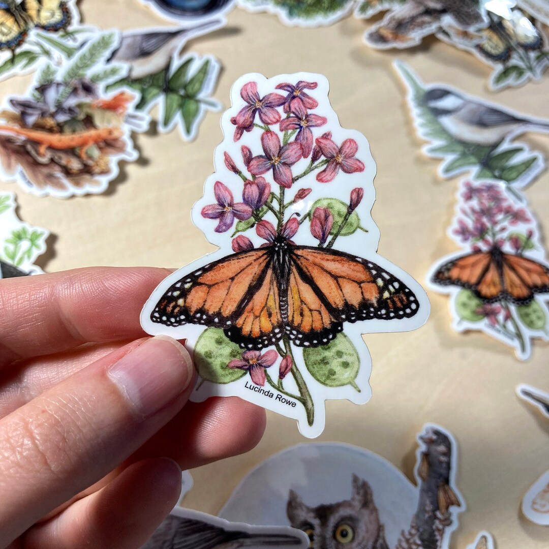 Sticker - Monarch Butterfly on Honesty - Etsy
