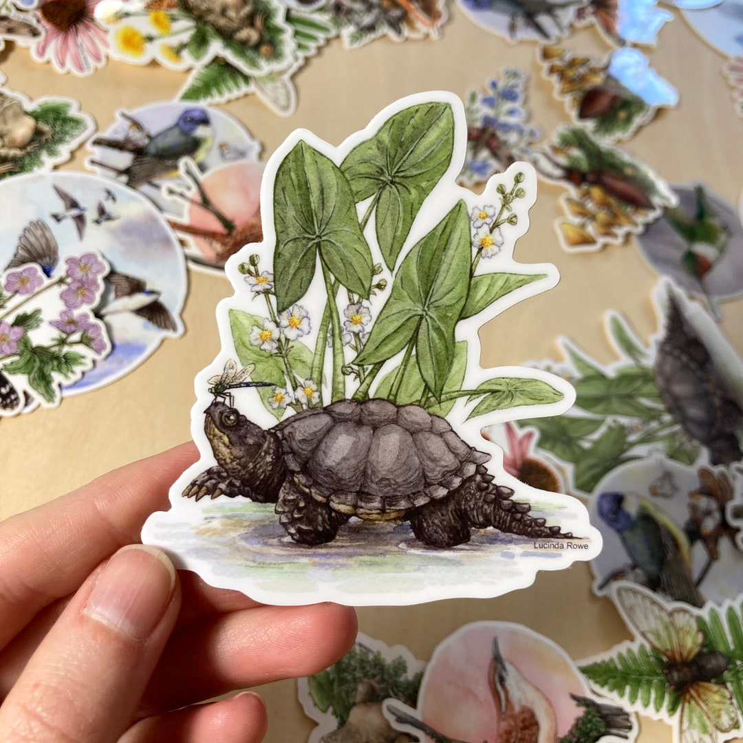 Sticker - Snapping Turtle With Common Arrowhead and Dragonfly - Etsy