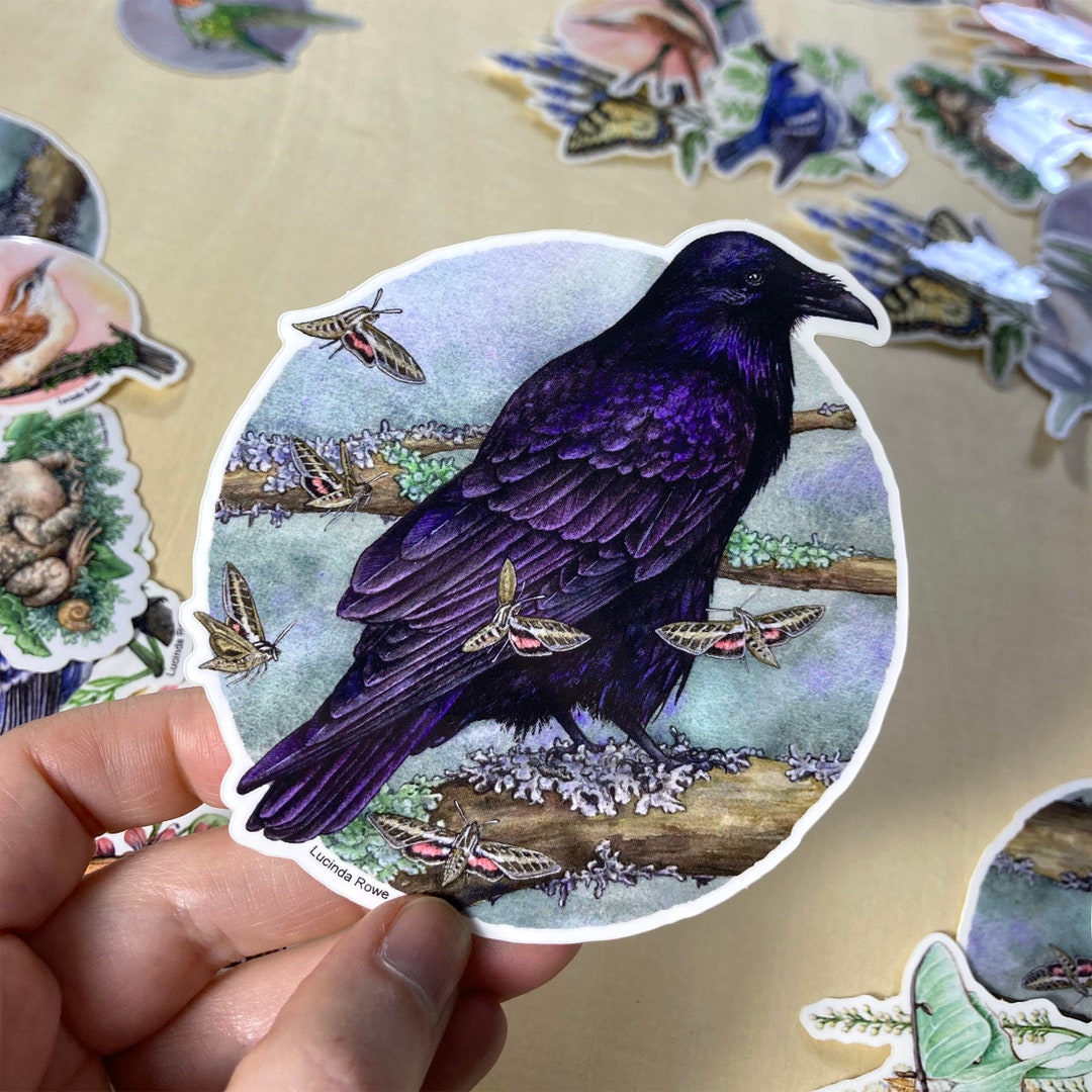 Vinyl Sticker - Common Raven With Moths - Etsy