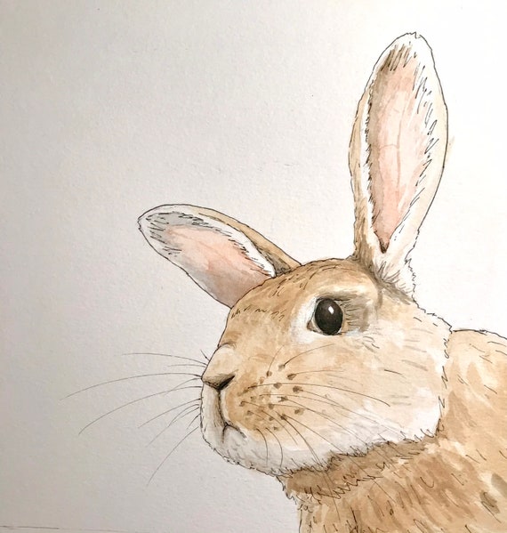 Pet Portraits Pen and Ink | Etsy