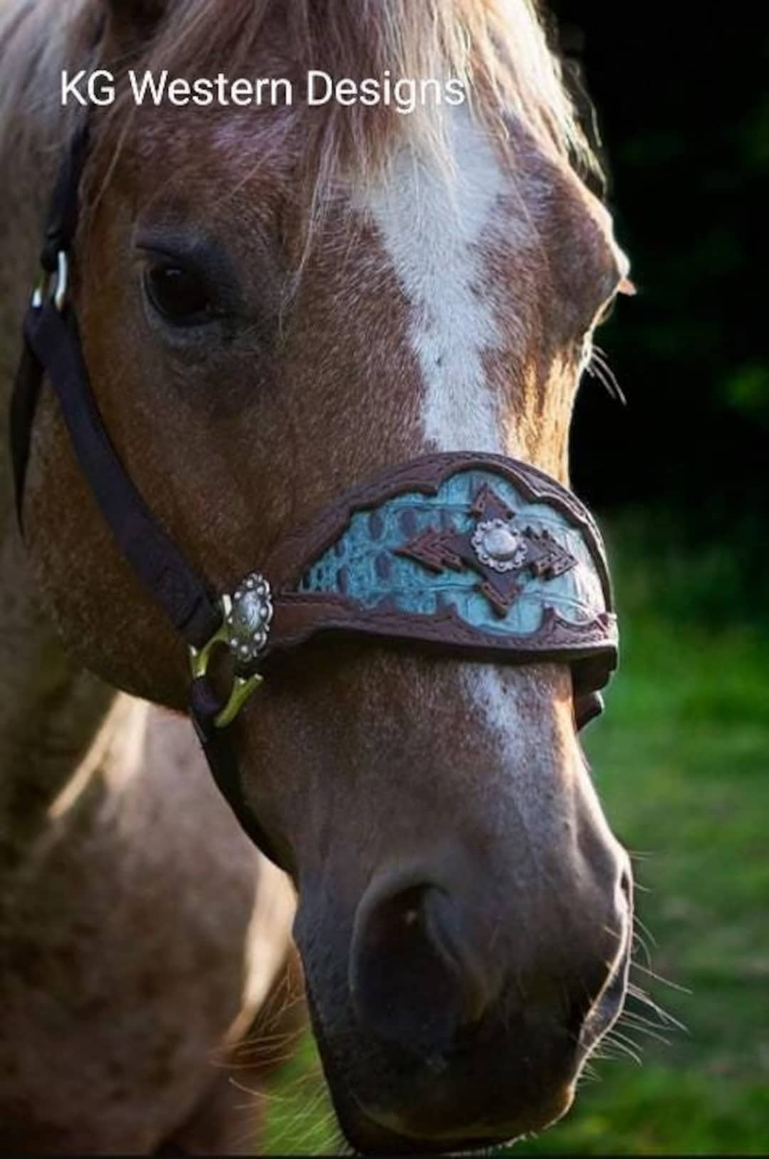 Bronc Style Halter Noseband Pattern Template. Leather Tooling ...