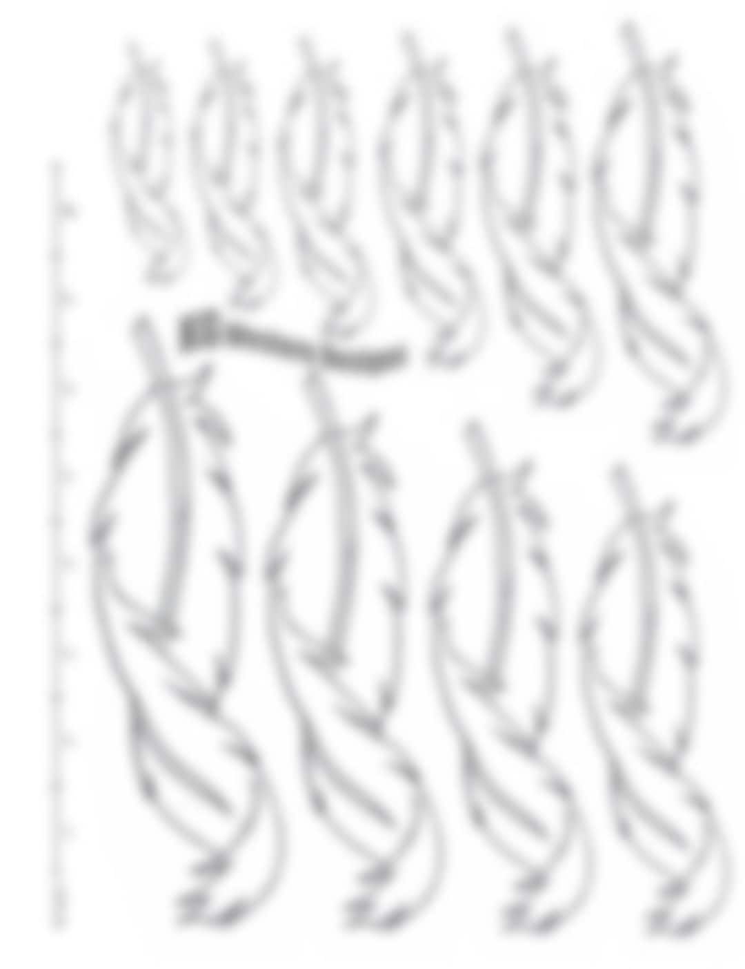 Twisted Feathers Size Leather Tracing Design Pattern - Etsy