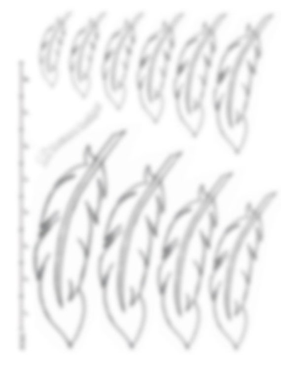 Curved Feather Leather Tooling Size Pattern Pack | Etsy