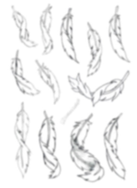 Leather Tooling Twisted Feathers Pattern Pack - Etsy