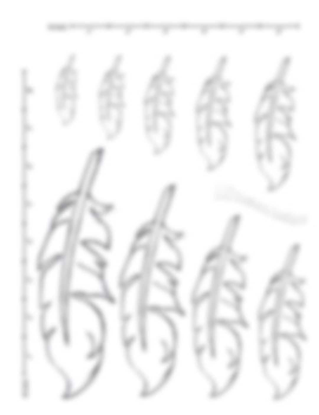 Leather Tooling Elements- Feather Carving Scale Pattern Pack - Etsy