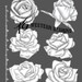 6 Roses Tracing Flowers Leather Tooling Pattern Pack PDF - Etsy
