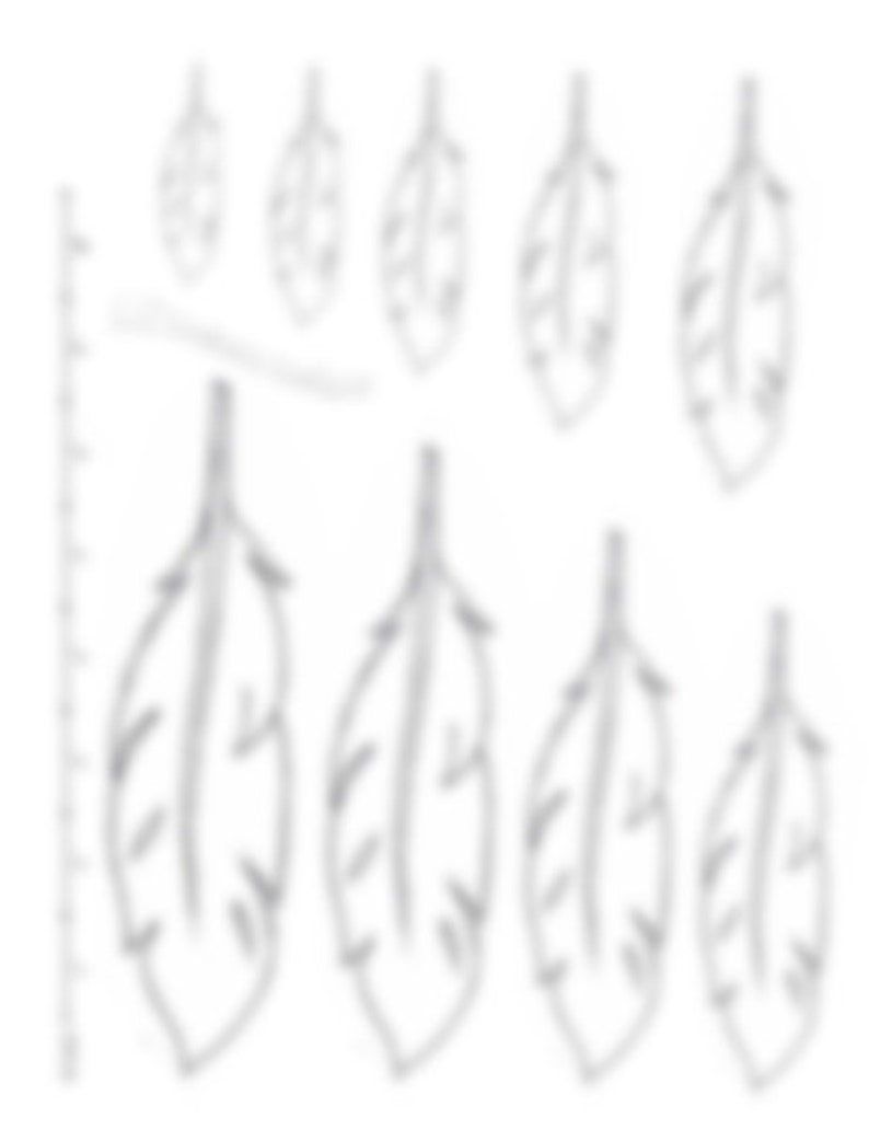 Hand-drawn Feathers Tracing Scale Leather Tooling - Etsy