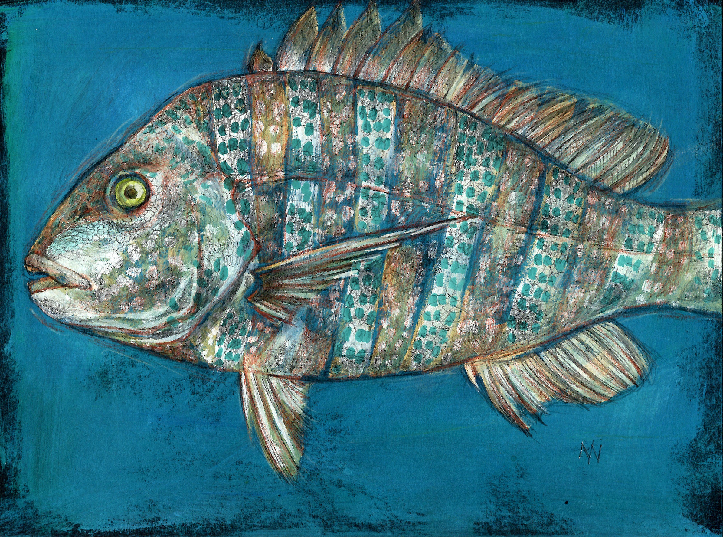 Sheepshead Fish Swimming in Beautiful Blue Water. OOAK Painting ...
