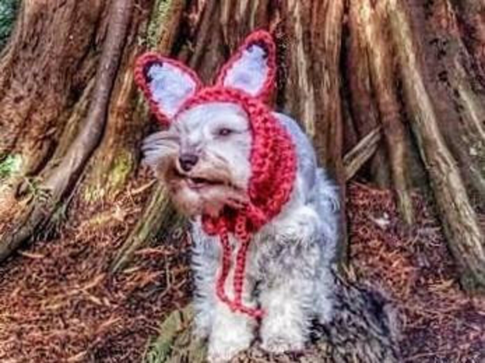 Fox or Wolf Dog Snood Foxy Halloween Costume Gift for - Etsy
