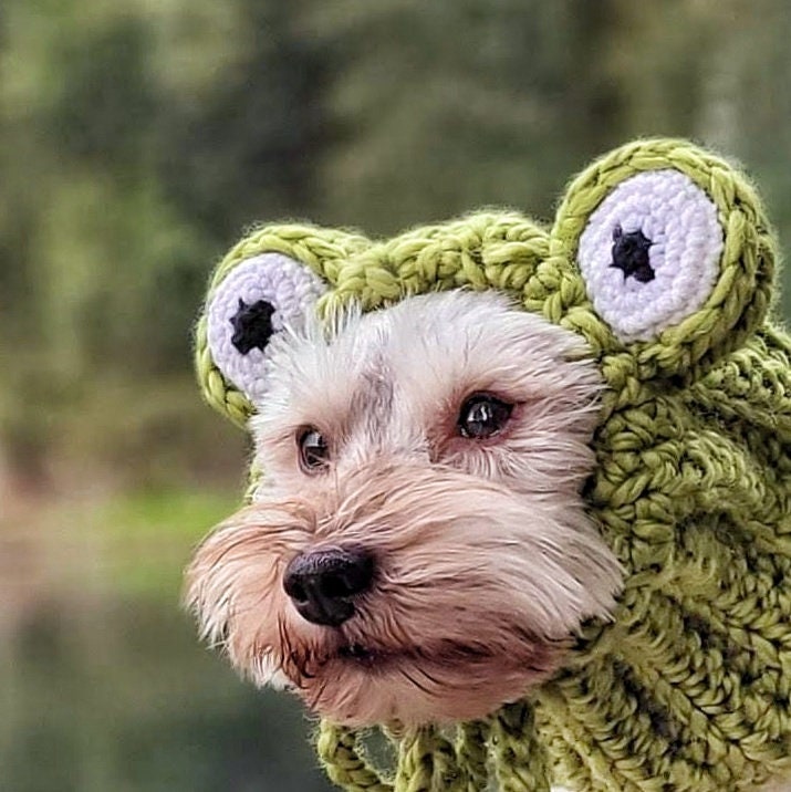 Toad Dog Costume