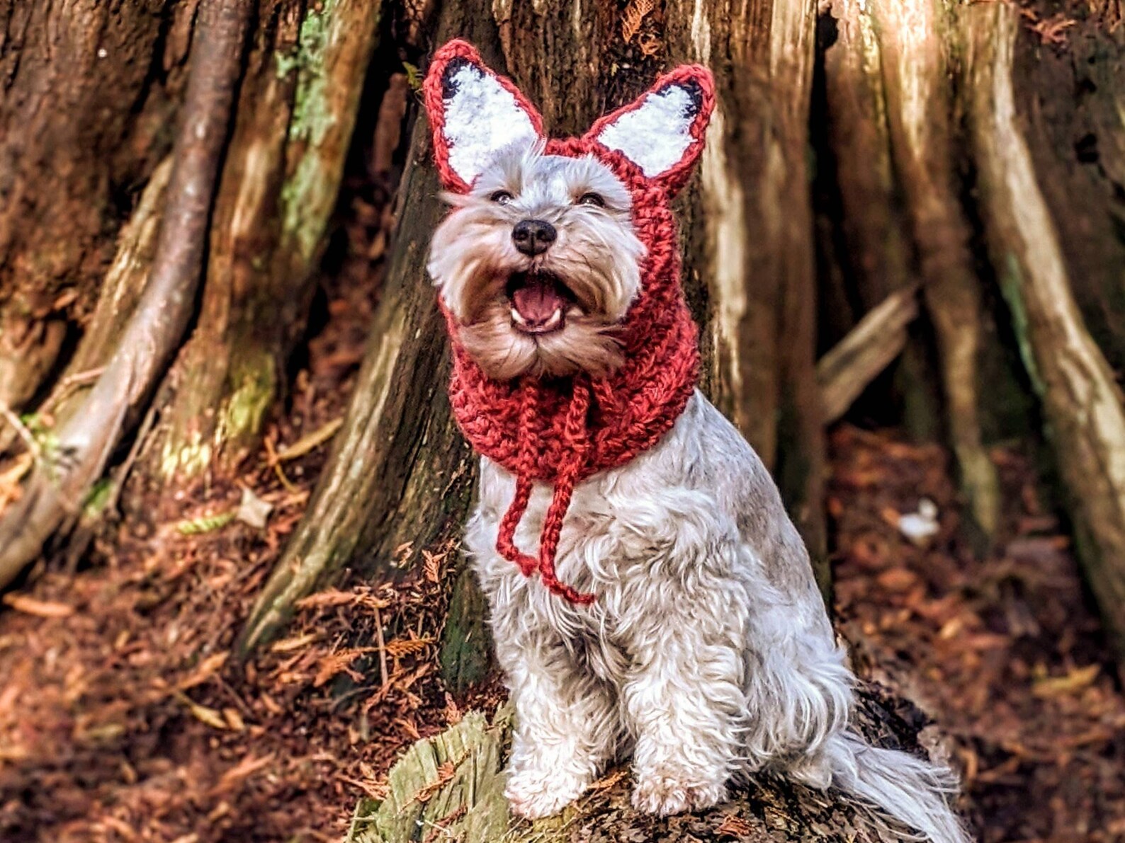 Fox or Wolf Dog Snood Foxy Halloween Costume Gift for - Etsy